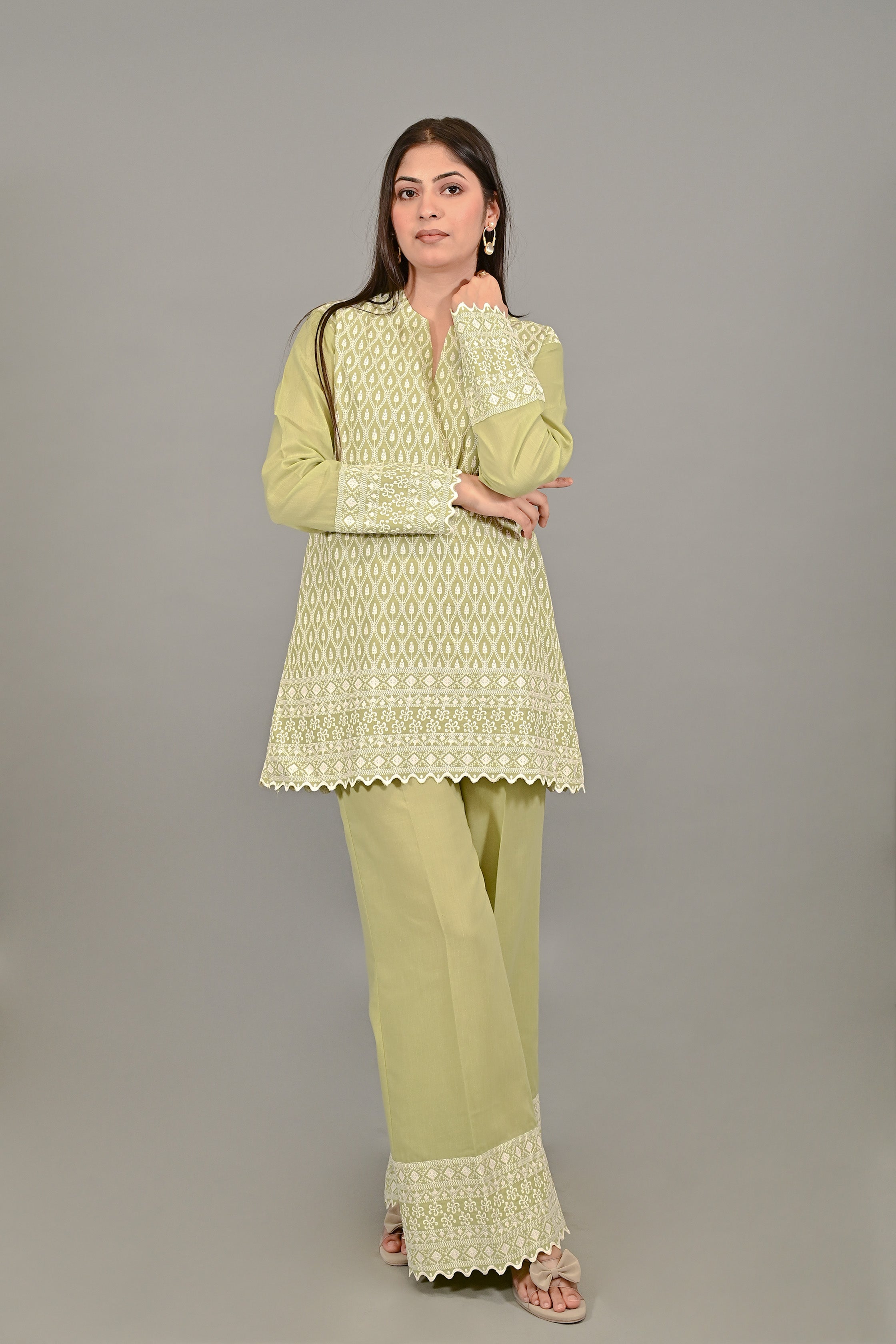 Pista Elegance Embroidered Co-ord Set – The Behruz Theory